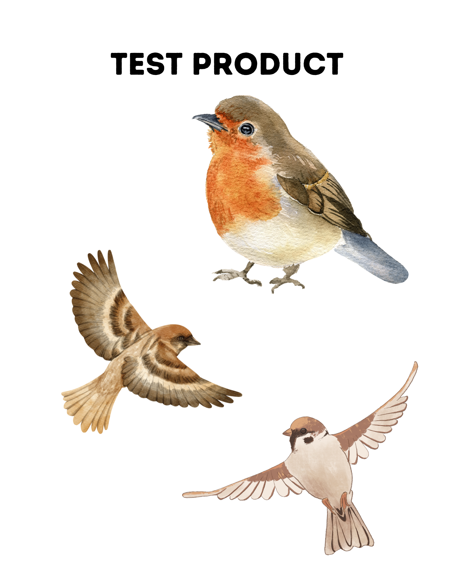 Birds Test Products – Lily and Thistle