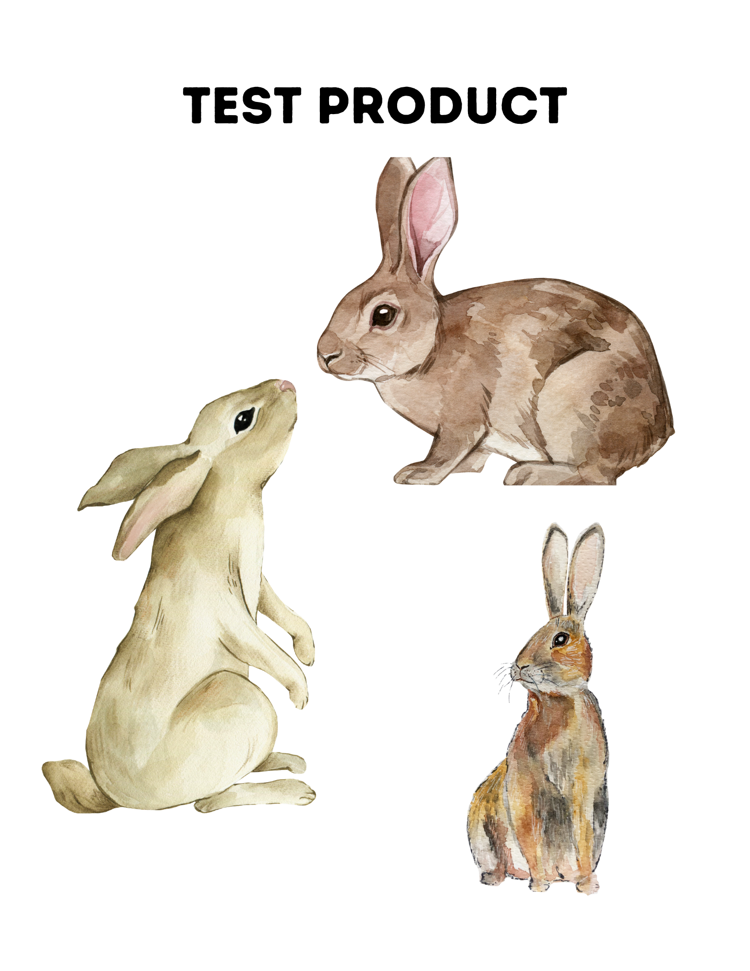 Bunnies Test Product – Lily and Thistle